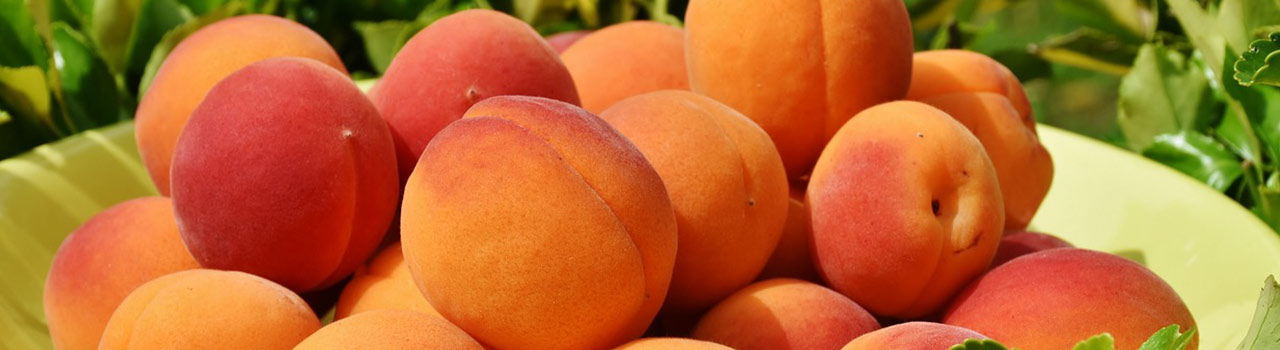 Albicocche - Ortobello Zero